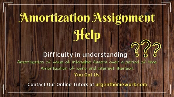 Amortization Assignment Help | Amortization Homework Help